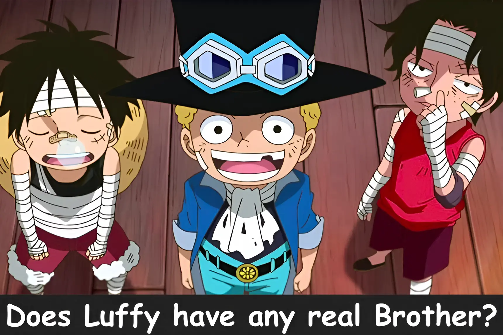 Does Luffy have Brothers?